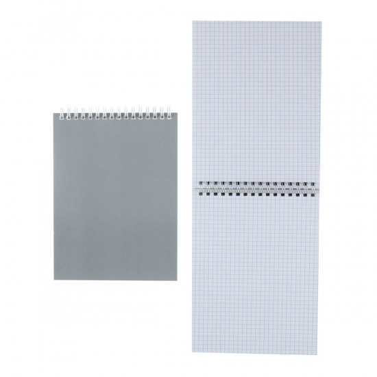 Блокнот А5, 60л, клетка, на евроспирали Для конференций БиДжи Б5гр60 ...